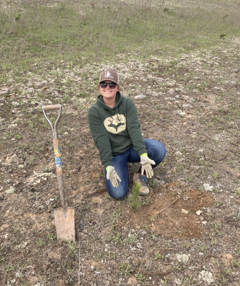 Benefits of Planting Fall Plug Trees and Bulbs: A Boost for Spring in ...